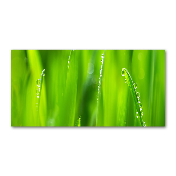 Ebern Designs Young Oat - Kunstdrucke auf Leinwand - Wrapped Canvas | Wayfair.de